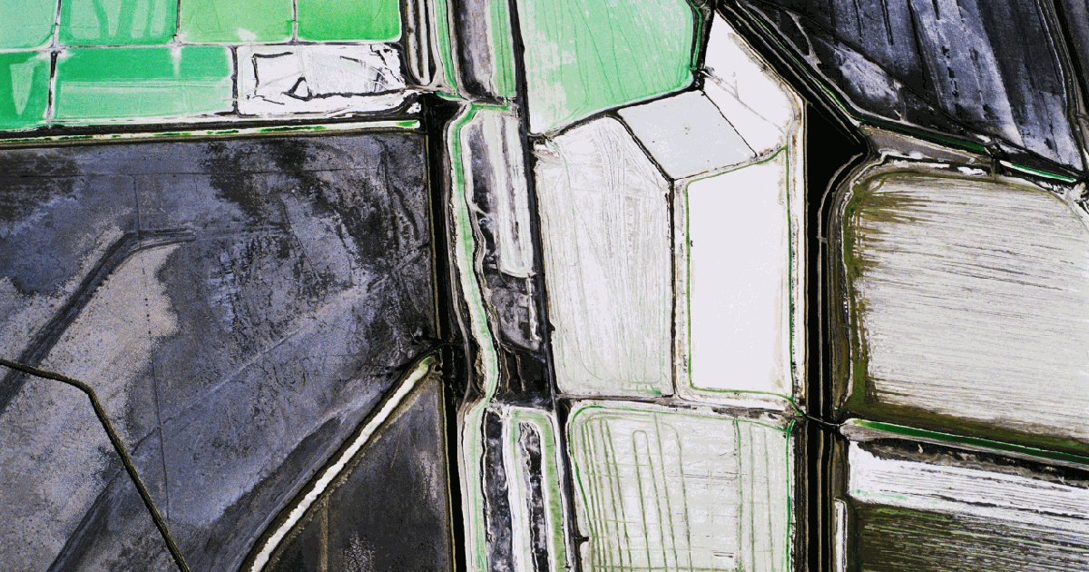 David Maisel | Edwynn Houk Gallery